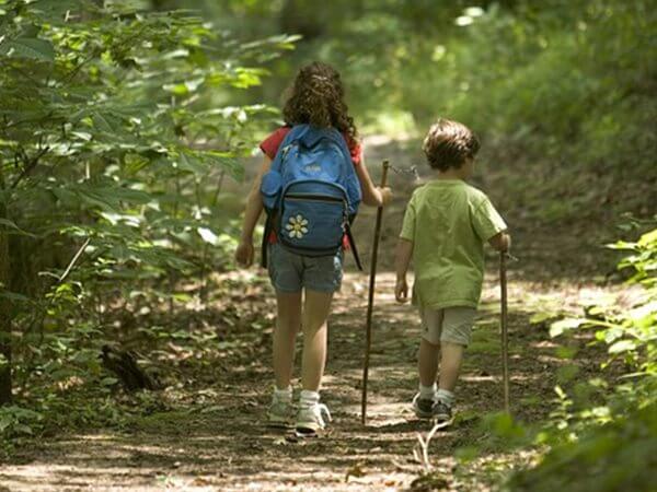 Go for a Hike - Habyts