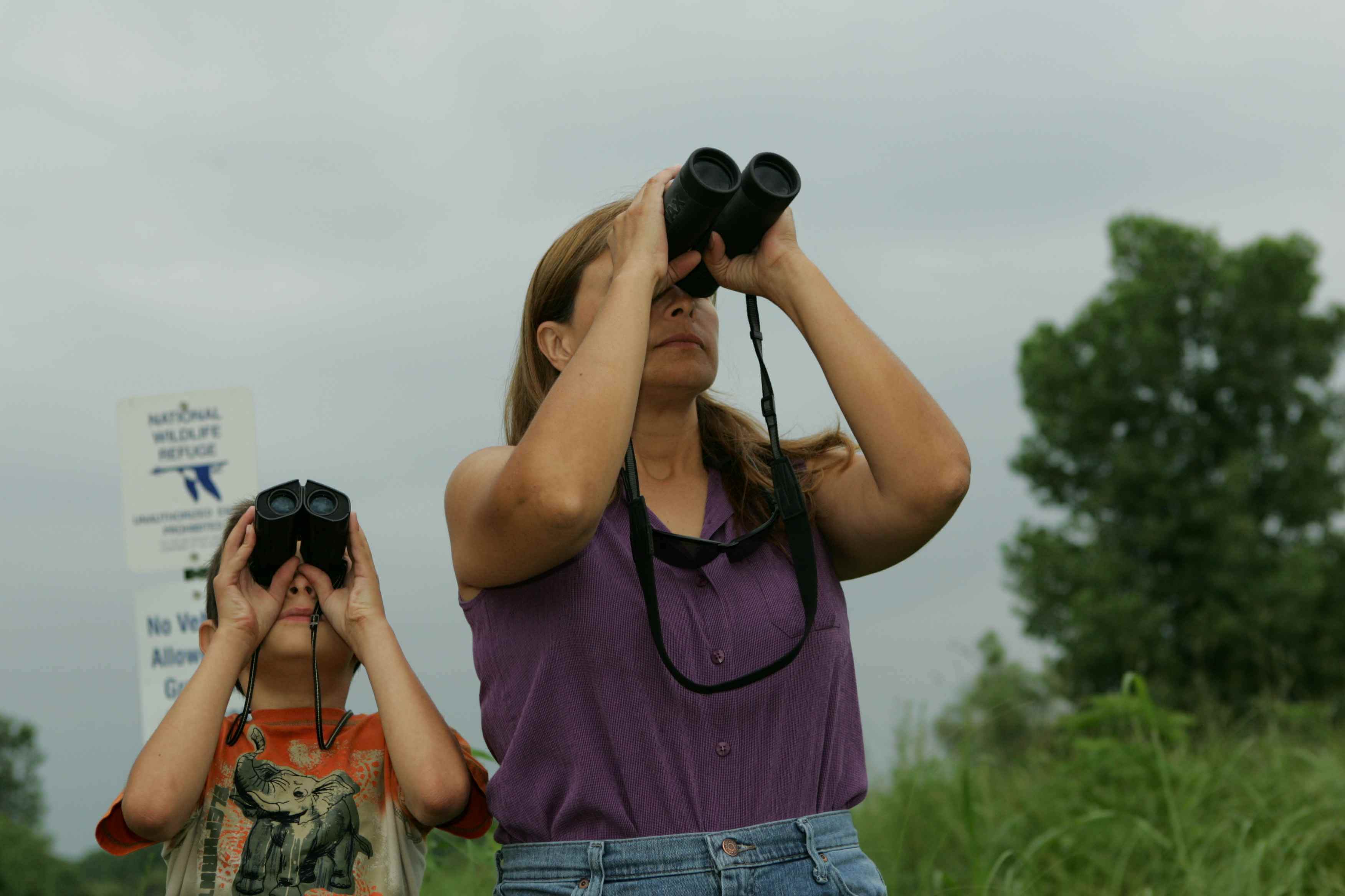 Go Bird Watching. Learn the Names of Local Birds - Habyts
