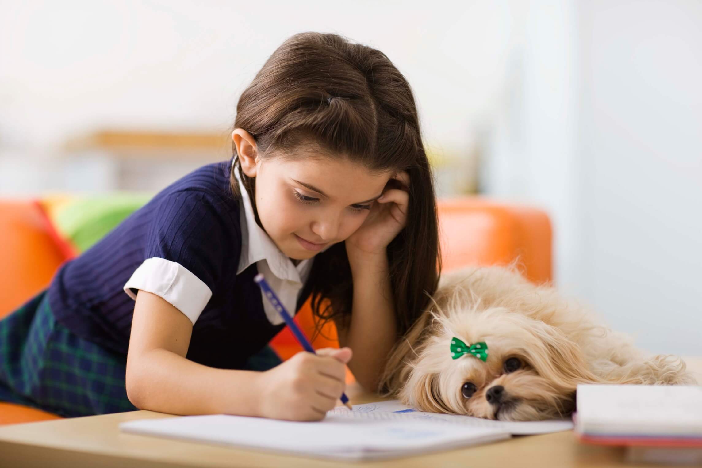 Write a Poem Using Your Spelling Words - Habyts Write a Poem Using Your Spelling Words - Habyts
