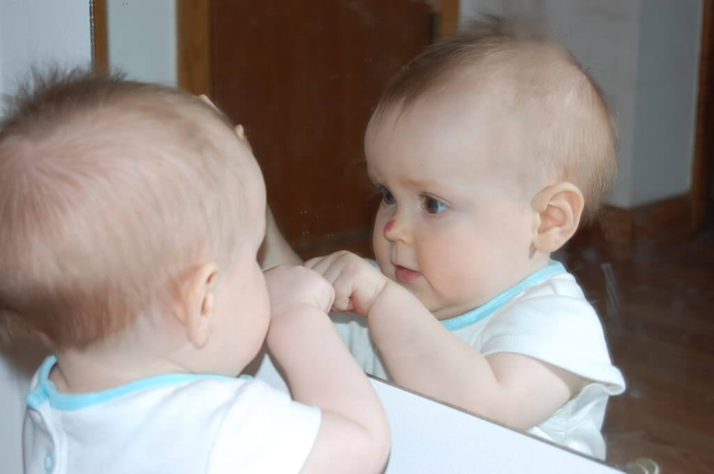 Notice the Reflection of Your Face in a Spoon on Both Sides - Habyts